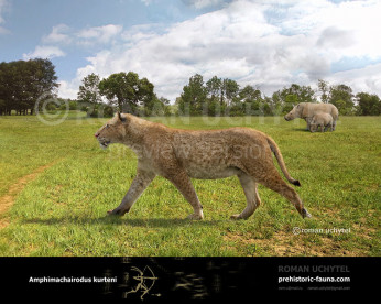 Amphimachairodus giganteus image buy Uchytel