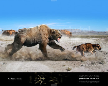 Arctotherium angustidens image buy Uchytel