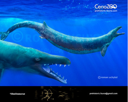 Basilosaurus Size Basilosaurus Prehistoric Whales Greeting Card By