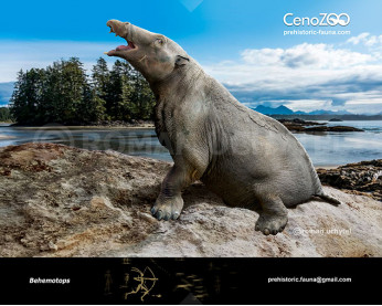 Pezosiren portelli image buy Uchytel