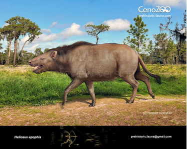 Daeodon Size And Weight