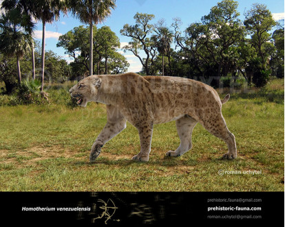 Homotherium Homotherium
