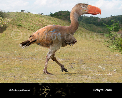 Prehistoric Predators Terror Bird
