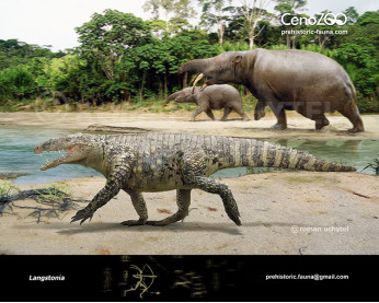 Batrachopus grandis image buy Uchytel