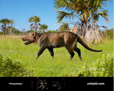 Daeodon Size And Weight