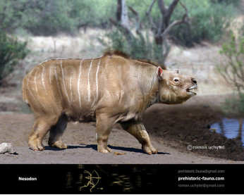 Adinotherium image buy Uchytel