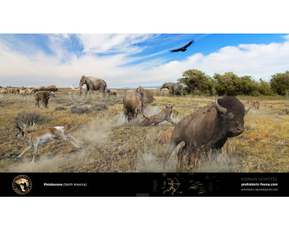 Pleistocene Epoch North America Pleistocene The Ice Ages