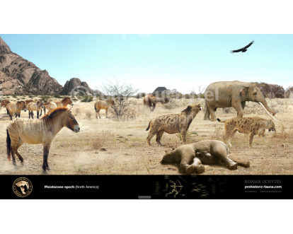 Pleistocene Epoch North America Pleistocene The Ice Ages