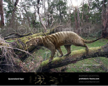 Mngwa image buy Uchytel