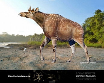 Bramatherium perimense image buy Uchytel