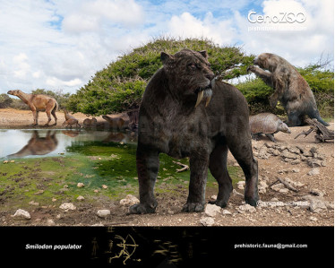 Smilodon Size Smilodon Skull | Gaston Design, Inc.