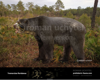 Arctotherium angustidens image buy Uchytel