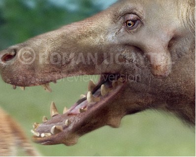 Archaeotherium image buy Uchytel