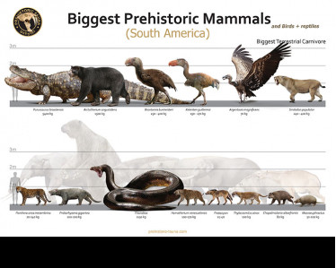 Arctodus Daeodon Size Comparison Prehistoric Mammals
