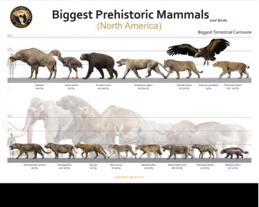 The 20 Biggest Prehistoric Mammals