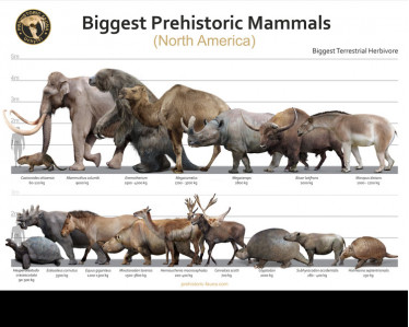 Giant Prehistoric Animals The 20 Biggest Prehistoric Mammals