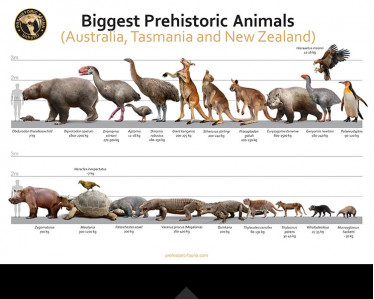 Prehistoric Animals Researchers Identify Two New Ancient Mammals In