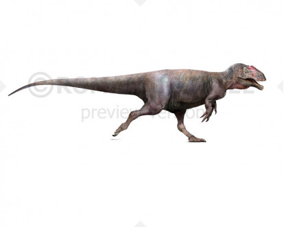 Neovenator Vs Barionix