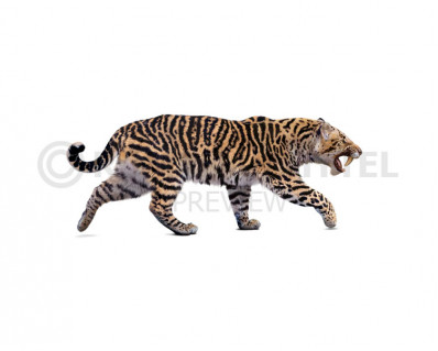 Taowu liui image buy Uchytel