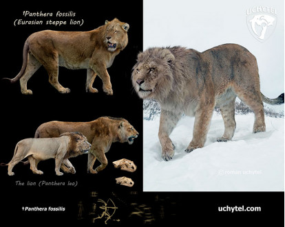 Cave Lion Size Comparison