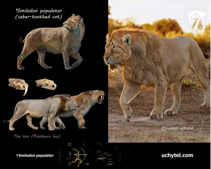 Smilodon Populator Size Comparison