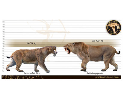Smilodon Populator Size Comparison