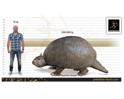 Glyptodon Size Glyptodon | Dinosaurs Pictures And Facts