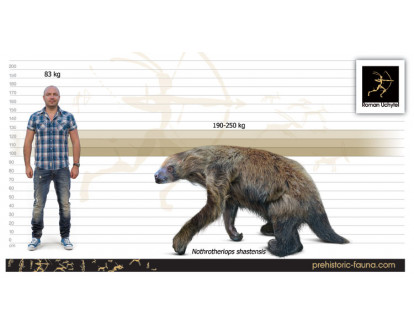 Ground Sloth Size Comparison