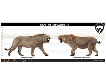 Cave Lion Vs Smilodon The Softer Side Of Sabercats